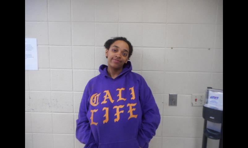 Missouri woman charged in I-30 pursuit