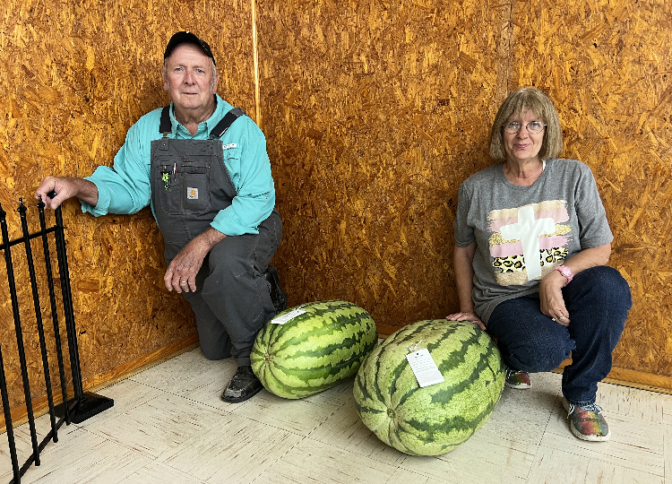 Fendleys win biggest watermelon award