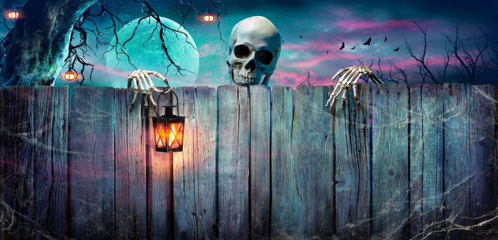 Haunted hayride, Fall Fest among Halloween activities planned in ...