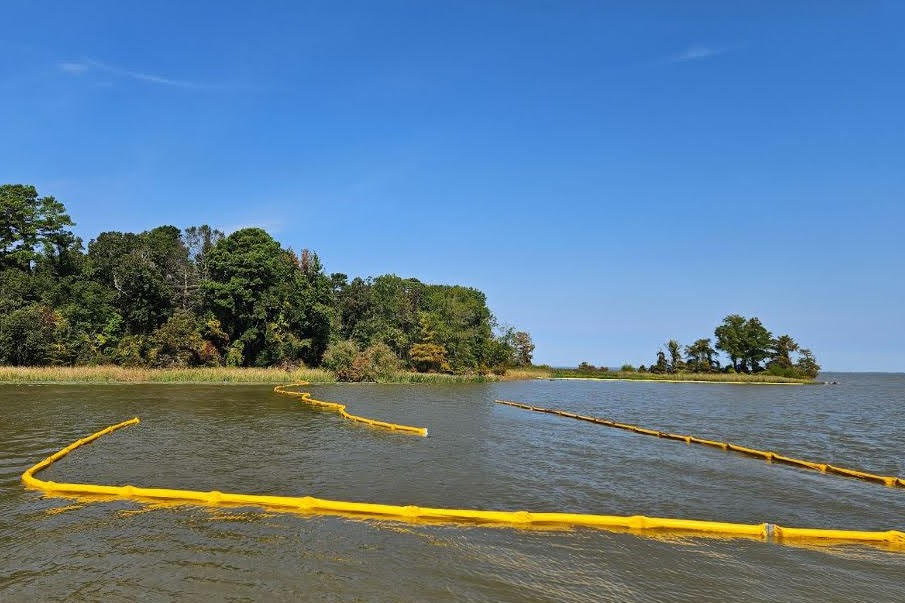 State park access reopens at Millwood as AGFC knocks back invasive plant