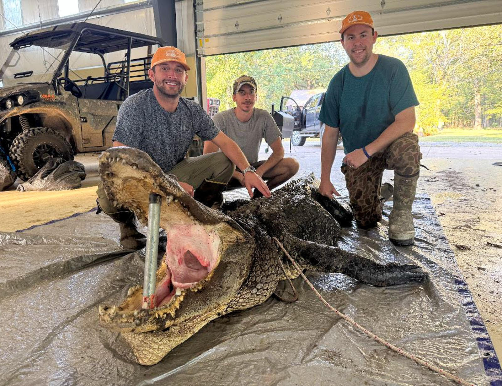 Arkansas hunters check 162 alligators in first weekend of season, 42 ...