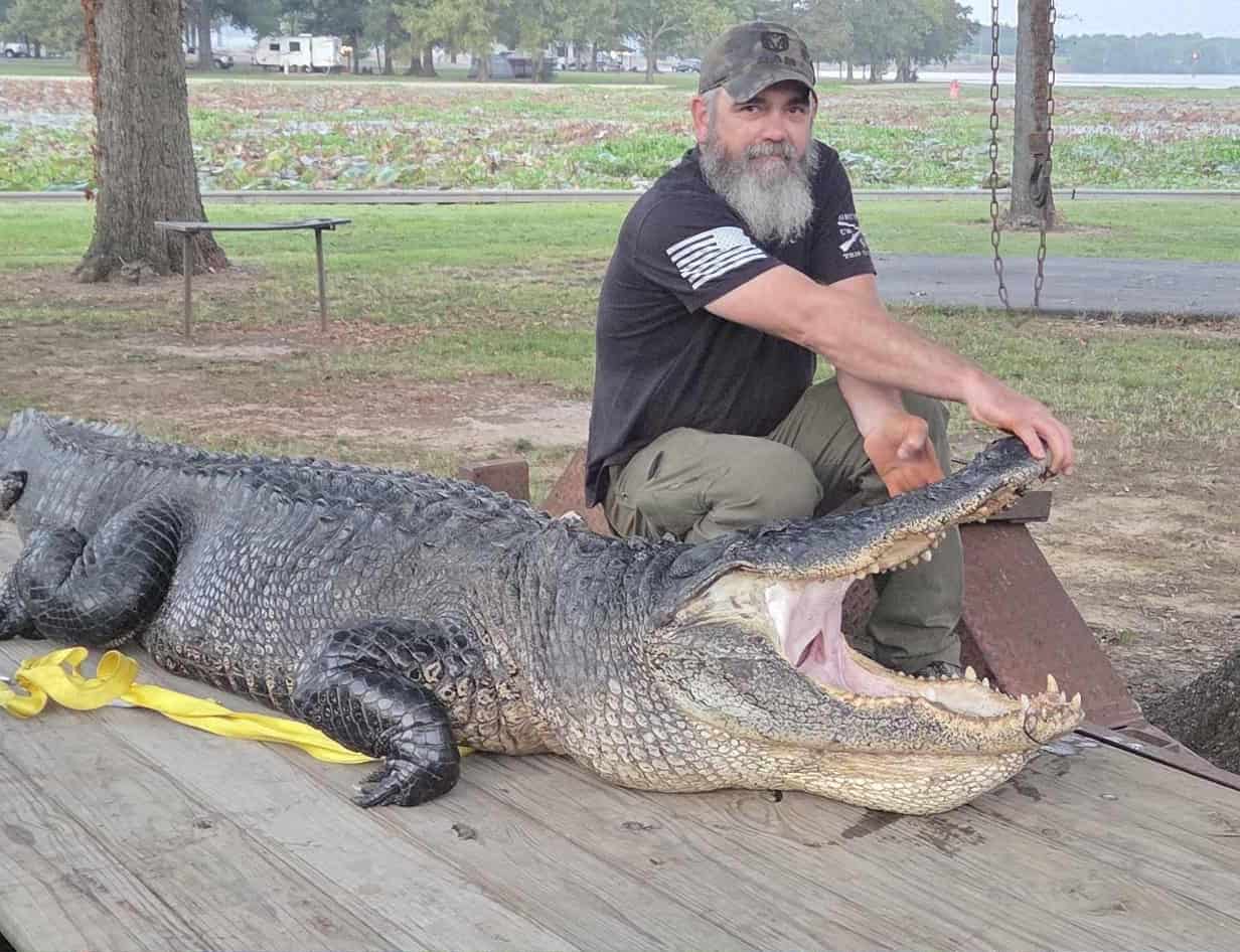 Arkansas gator hunters set harvest record in 2025