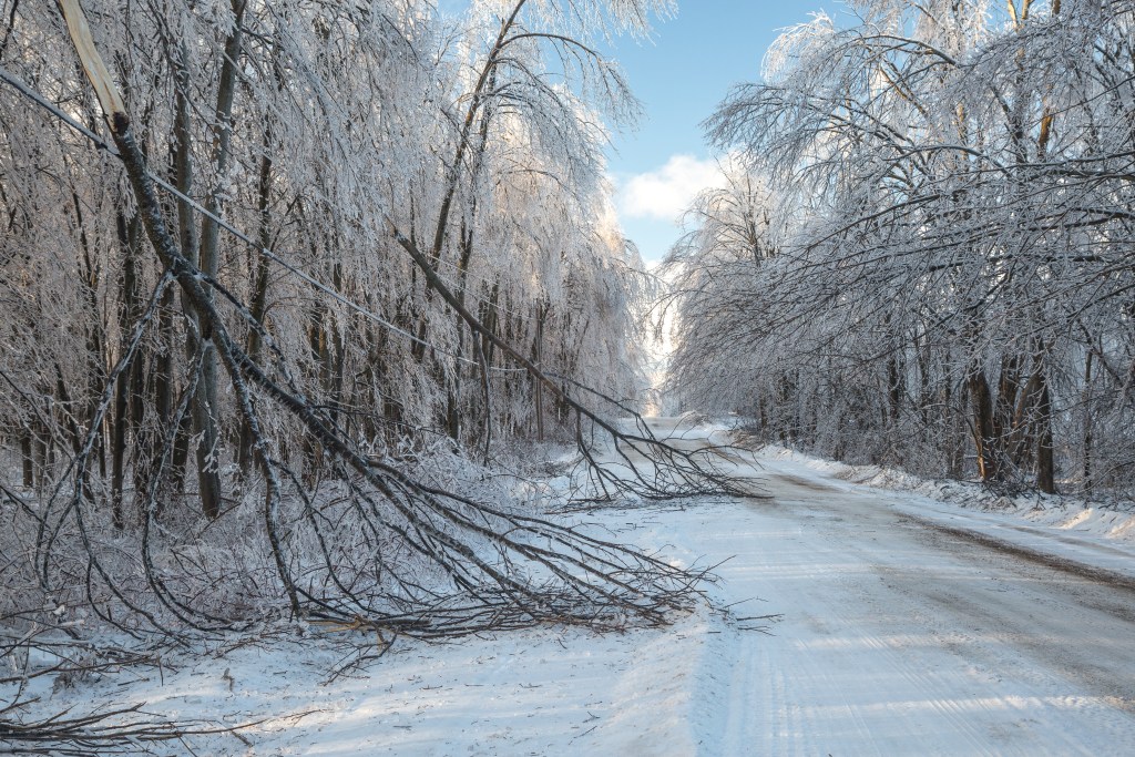 As Winter Storm Fern approaches, we remember the ice storm of 2000